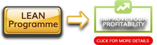 lean programme to improve profitability - Profitability & Cashflow ...